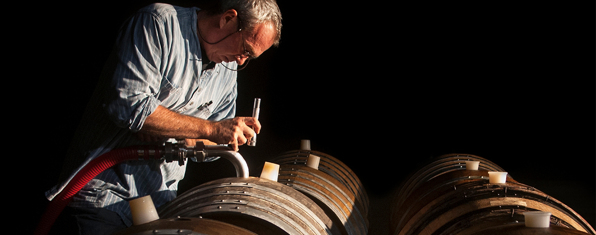 Wild thing: How Kevin Judd makes his 'alternative' Sauvignon Blanc