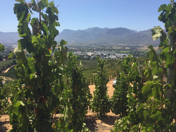 Building components for better blends