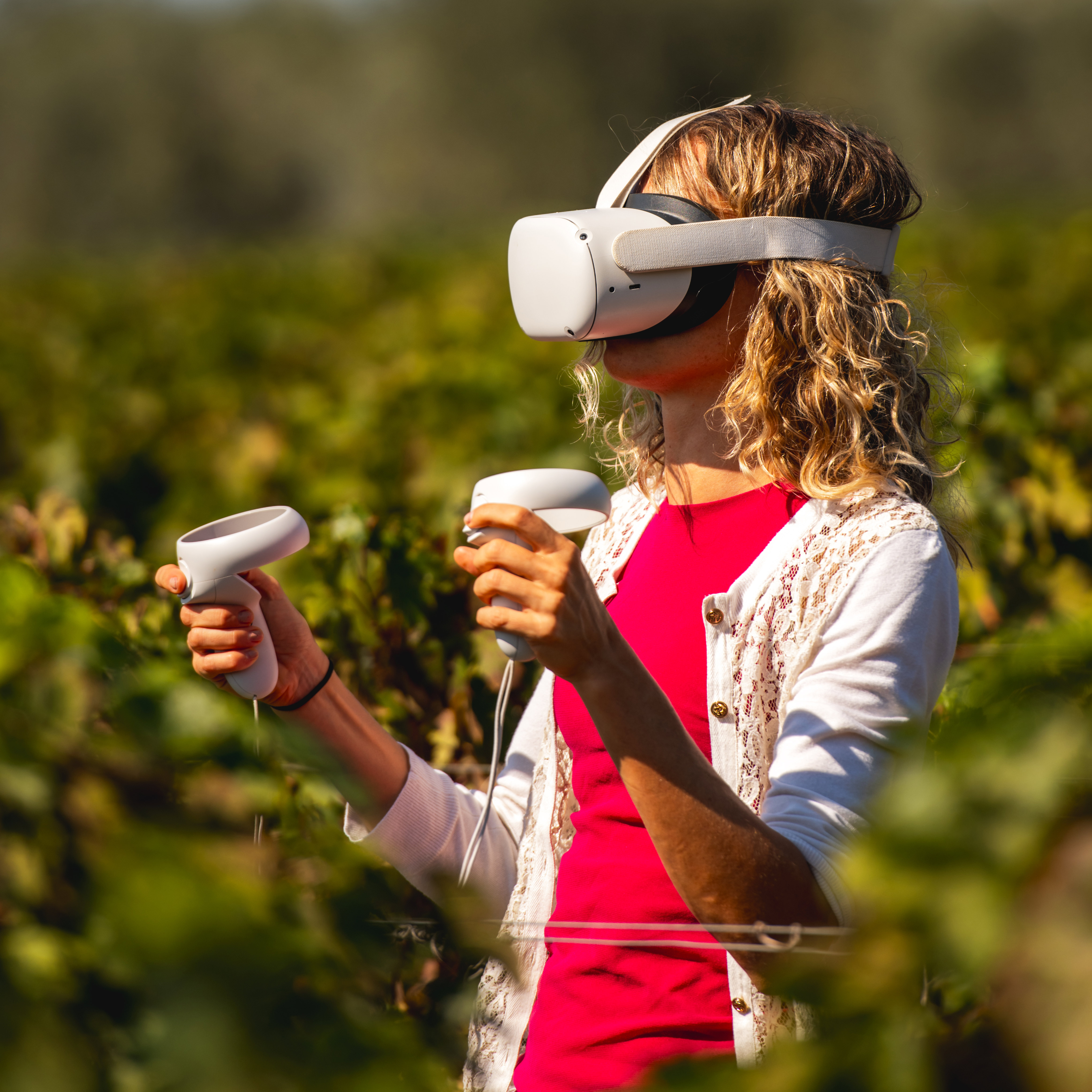 Winery adds VR experience