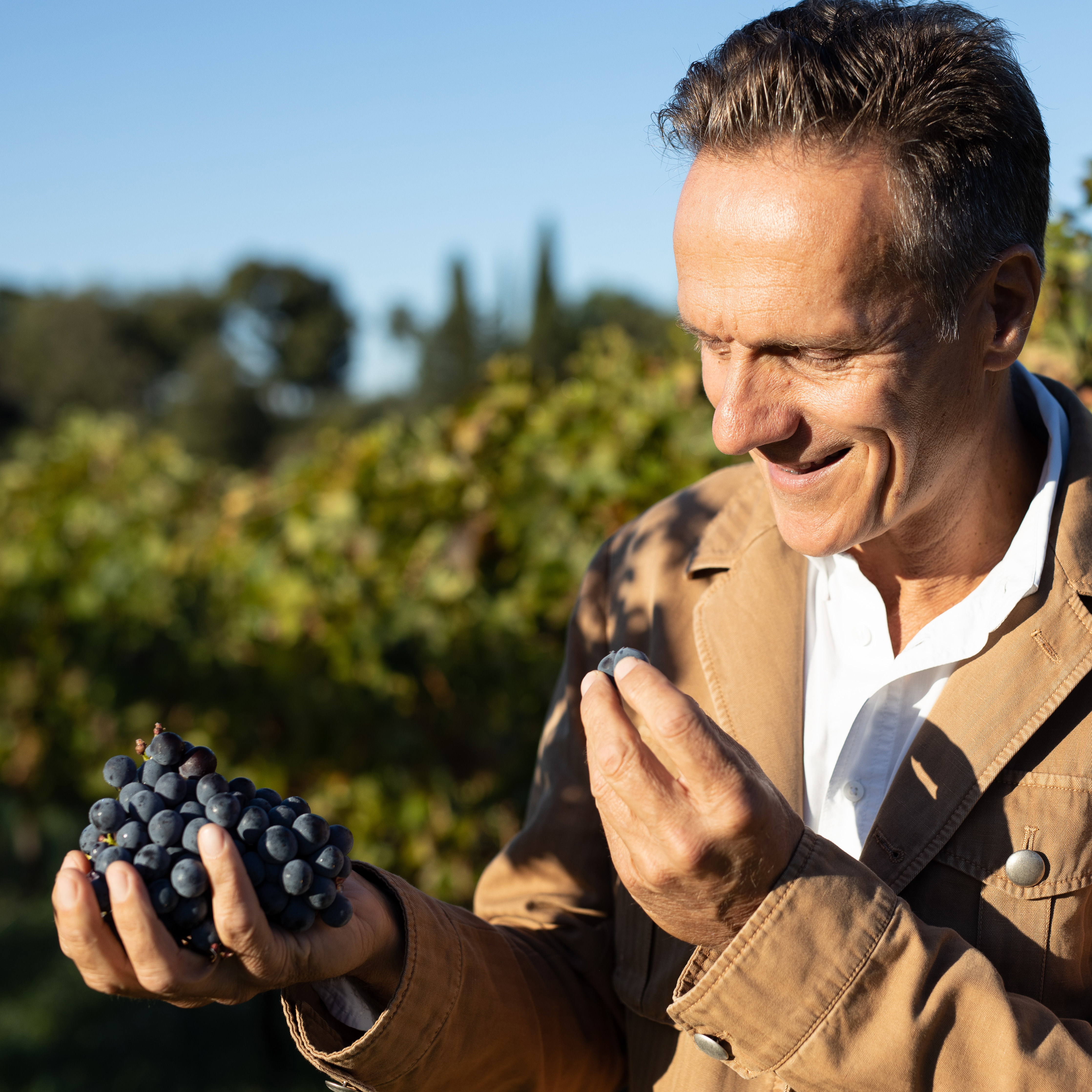 A fistful of grapes