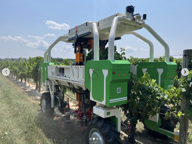 Latest vineyard robots