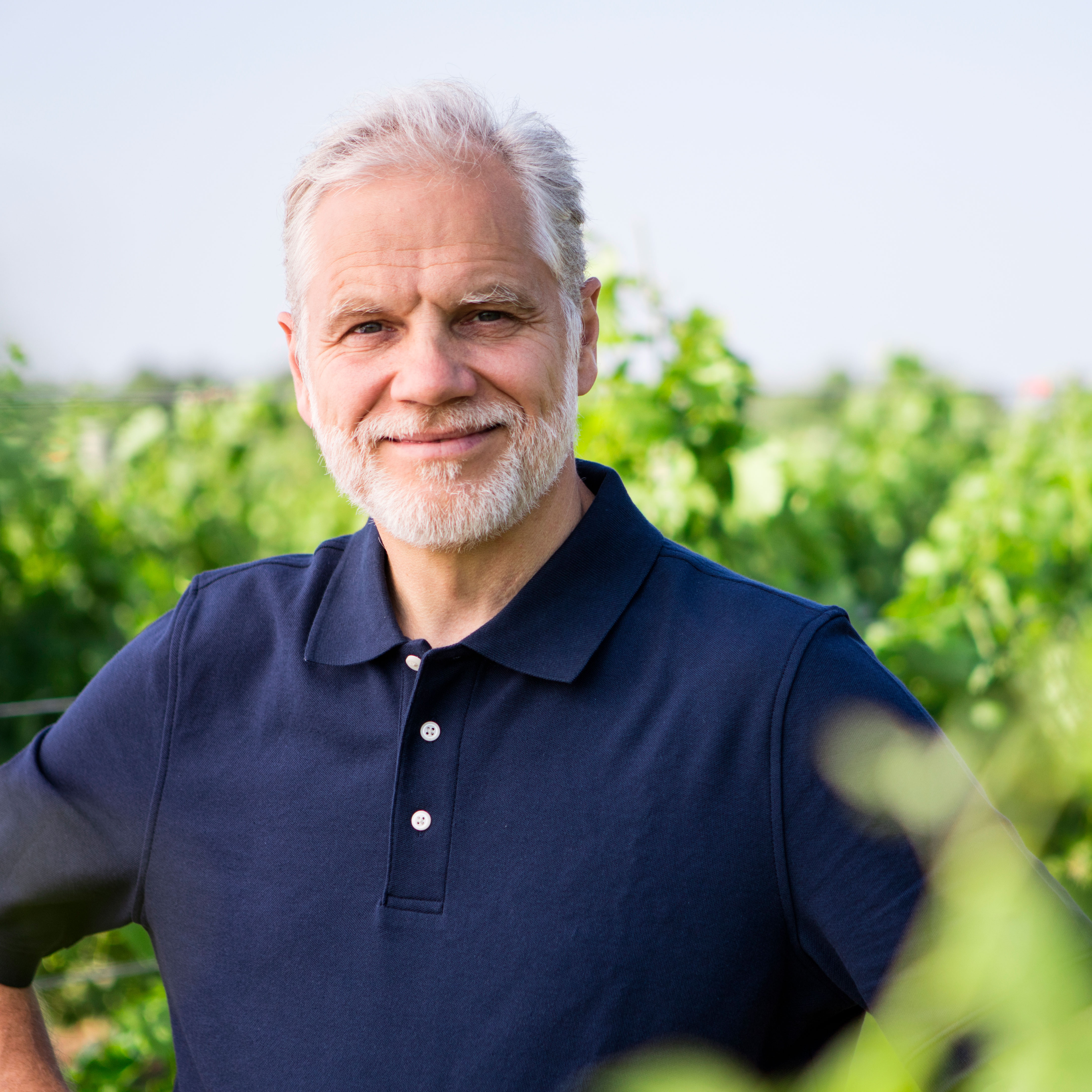 Rosés with complexity and texture