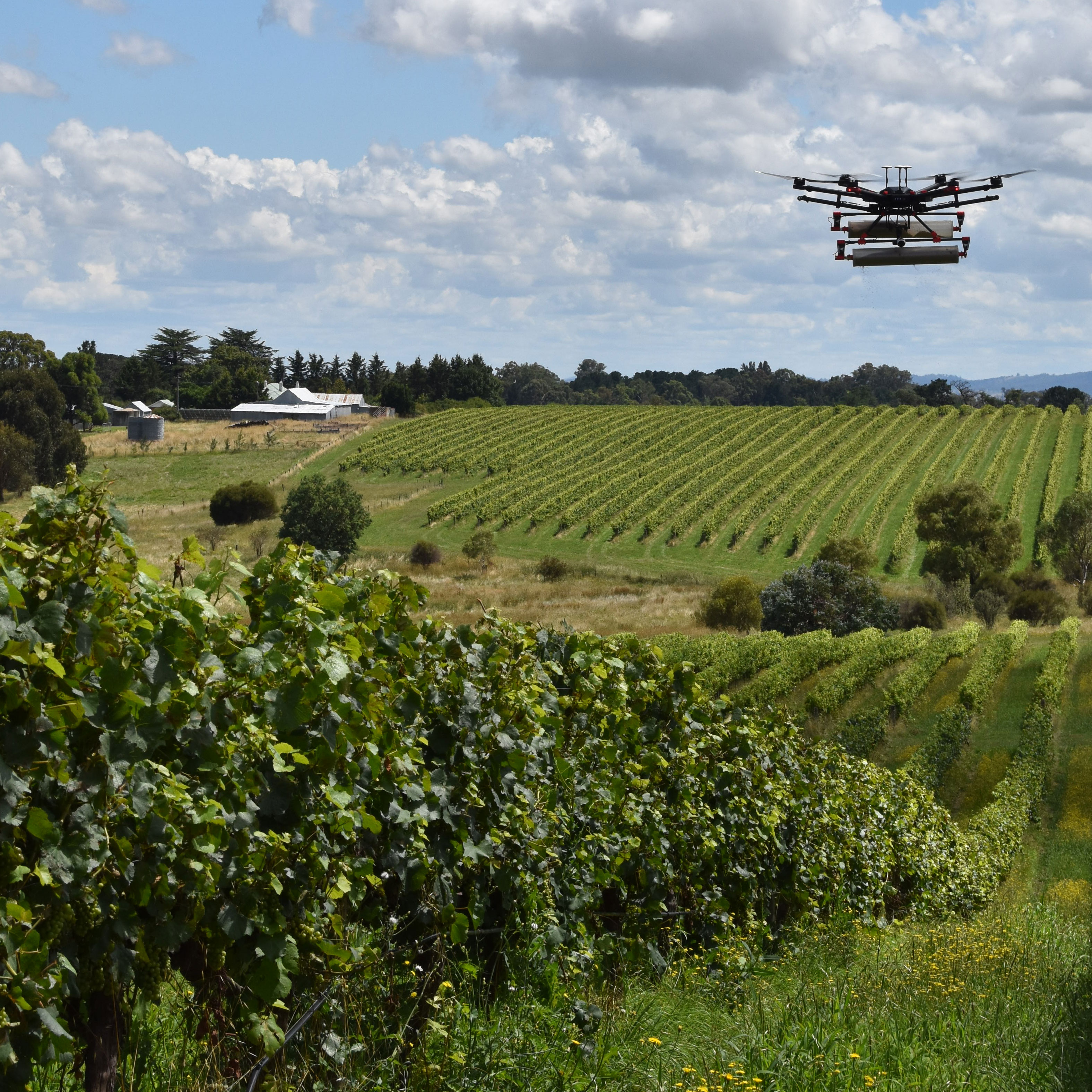 Using drones for pest management