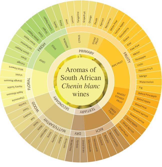 Understanding modern Chenin styles