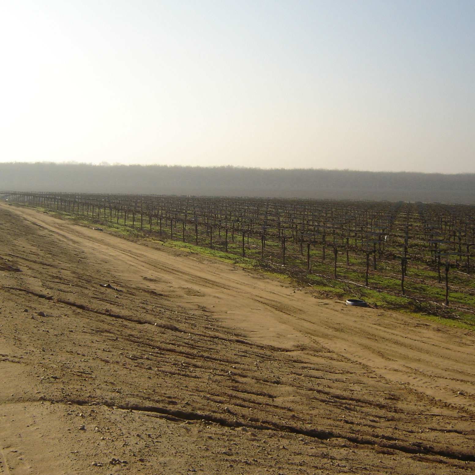 The benefits of screening wastewater