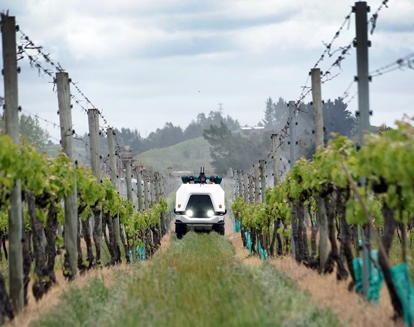 What’s the link between Diam and vineyard robots?