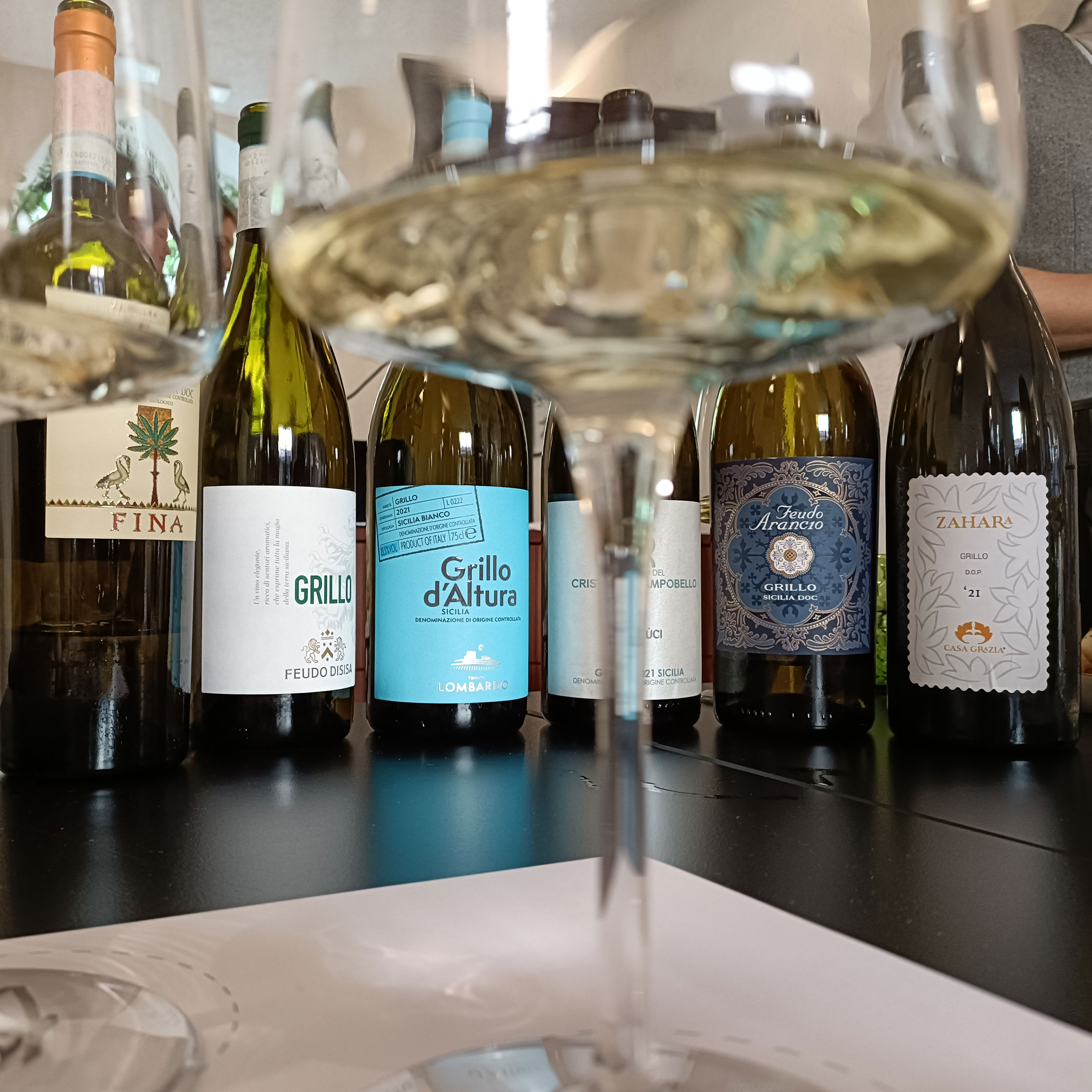 Grillo: The great contender