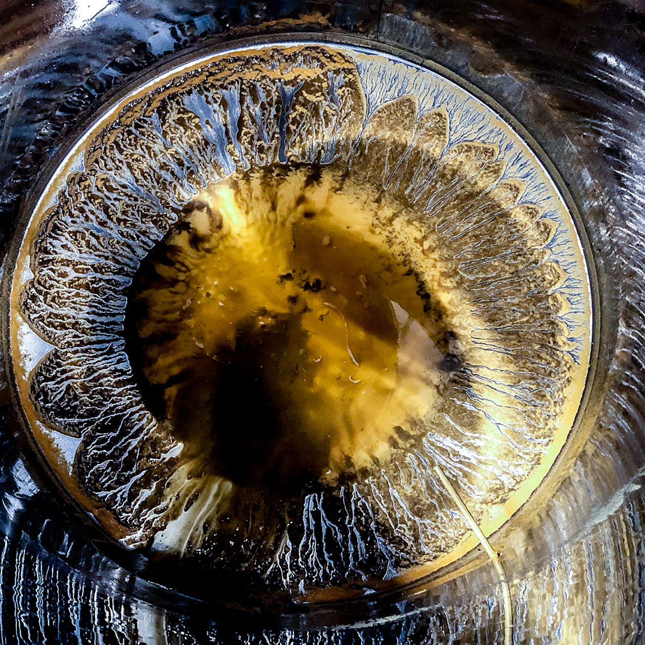 The beauty of dead yeast