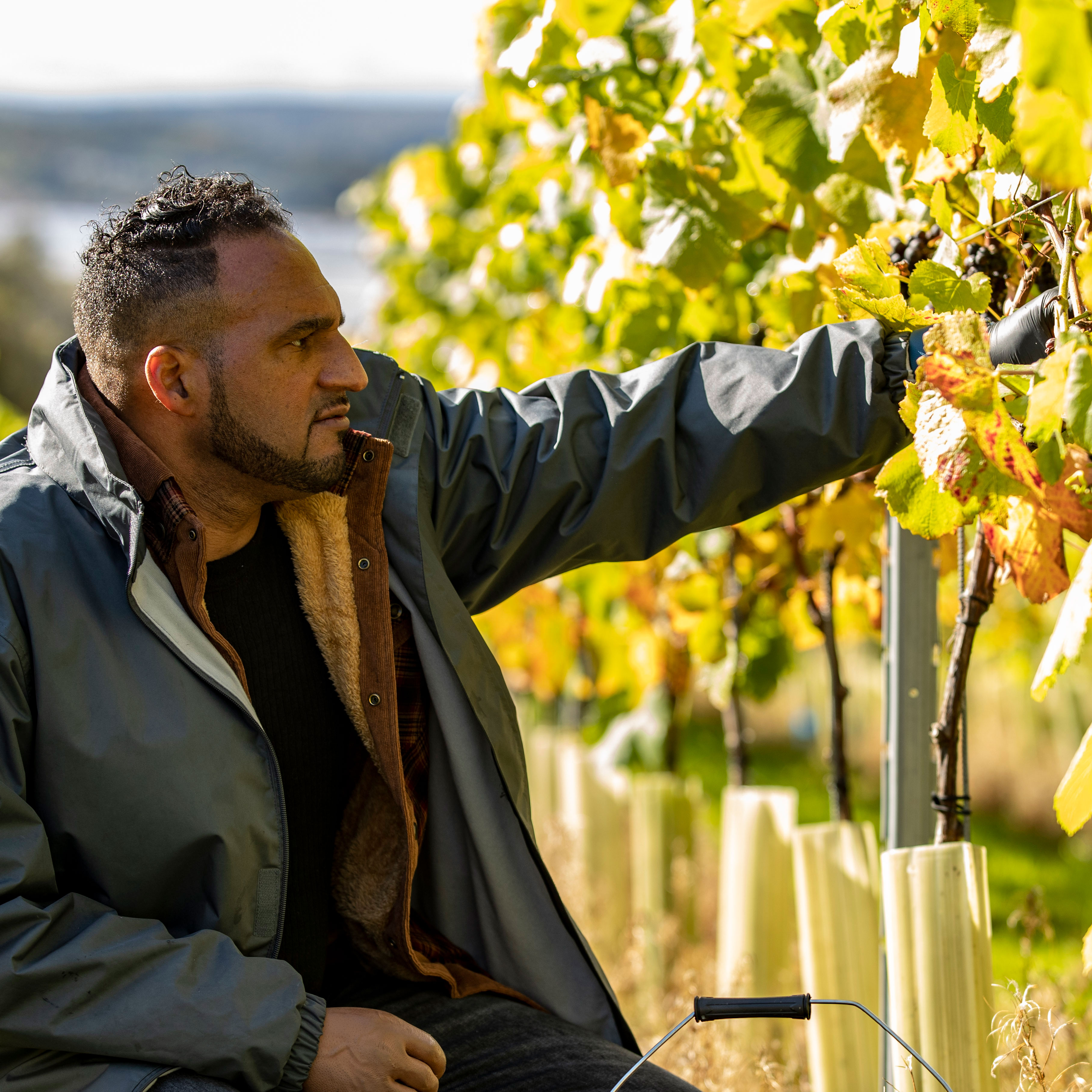 Cooking up ‘a fantastic’ Pinot Noir… by accident
