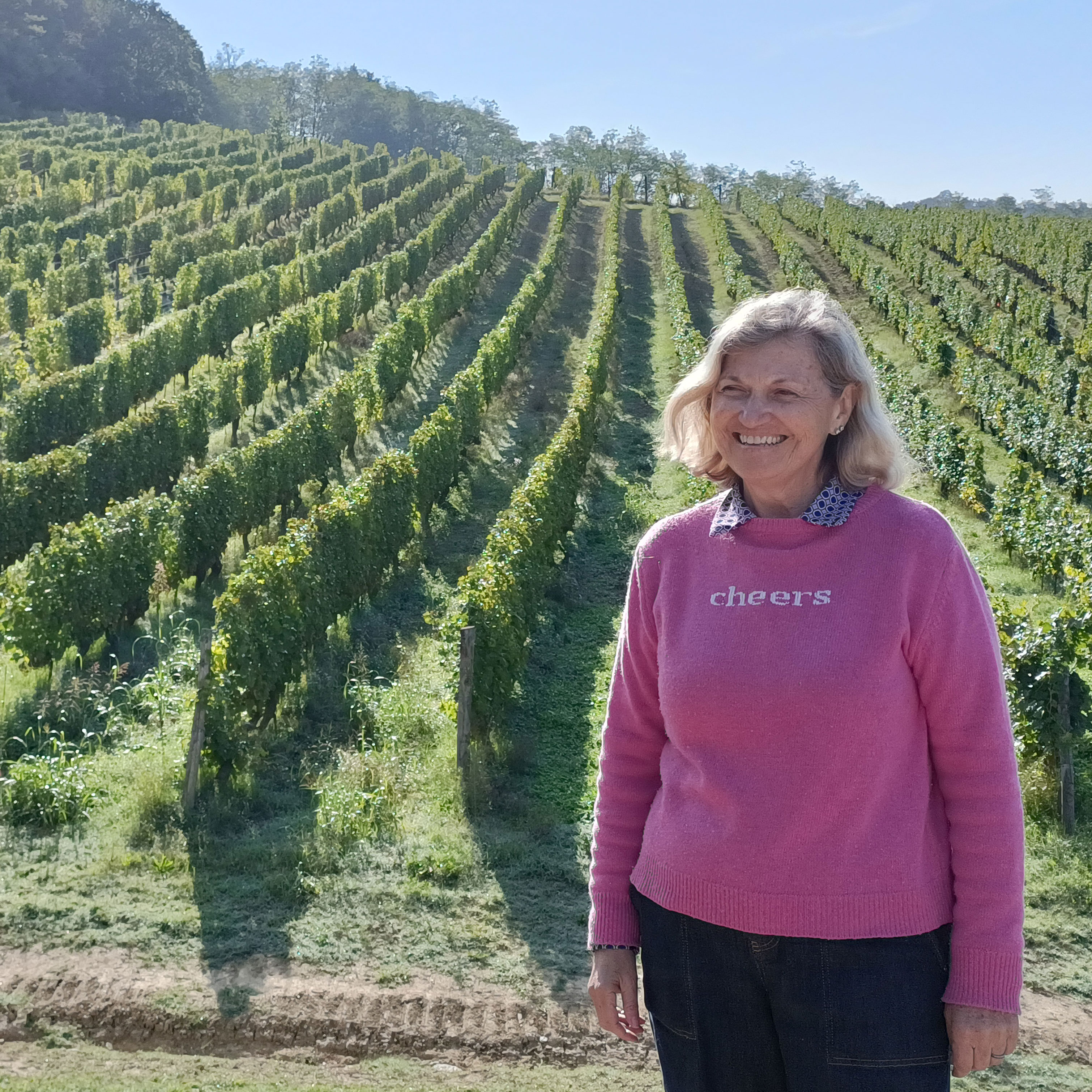 More inspiration from Gavi